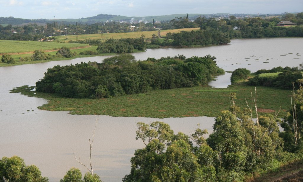 Ken Borland | Dudley Pringle Dam, Maidstone